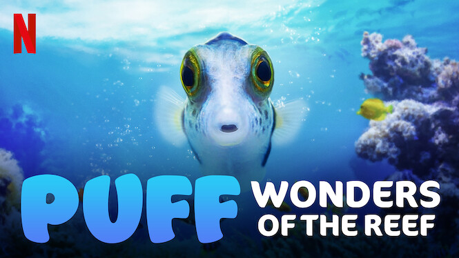 Puff: Wonders of the Reef (2021) - Netflix | Flixable